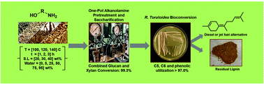 Alkanolamines as Dual Functional Solvents for Biomass Deconstruction ...
