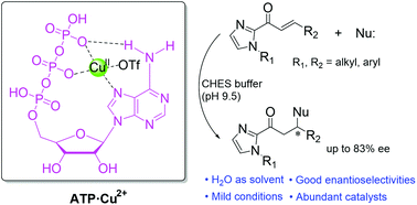 An ATP–Cu(ii) catalyst efficiently catalyzes enantioselective Michael ...