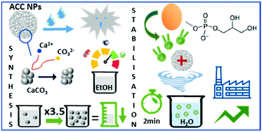 Eco-friendly processes for the synthesis of amorphous calcium carbonate ...