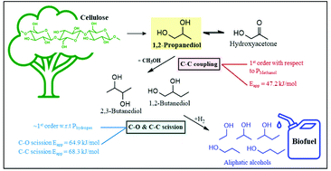 Elucidation of reaction network and kinetics between cellulose-derived ...