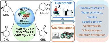Impact of deep eutectic solvents (DESs) and individual DES components ...