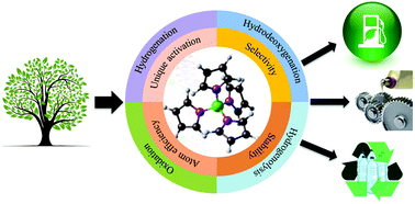 Conversion of biomass-derived feedstocks into value-added chemicals ...