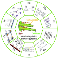 Research progress on the role of common metal catalysts in biomass ...