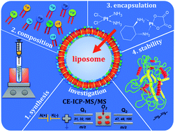 Optimization of a CE-ICP-MS/MS method for the investigation of liposome–cisplatin nanosystems ...