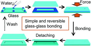 A simple and reversible glass–glass bonding method to construct a ...