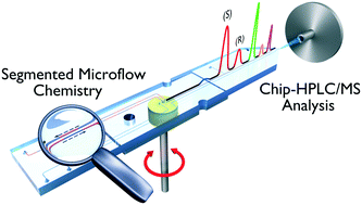 Integration of segmented microflow chemistry and online HPLC/MS ...