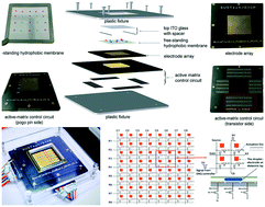 A robust and scalable active-matrix driven digital microfluidic ...