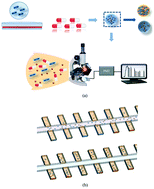 A multiplexed nanoliter array-based microfluidic platform for quick ...
