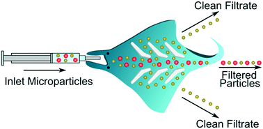 A bioinspired, passive microfluidic lobe filtration system - Lab on a ...