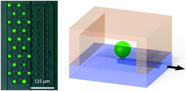 Planar hydrodynamic traps and buried channels for bead and cell ...