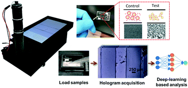 Quantitative particle agglutination assay for point-of-care testing ...