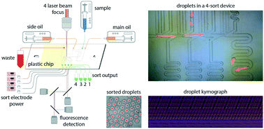 Sorting droplets into many outlets - Lab on a Chip (RSC Publishing)