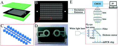 A rapid nucleic acid concentration measurement system with large field ...