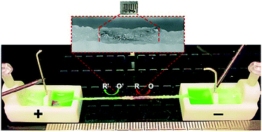 Wireless bipolar electrode-based textile electrofluidics: towards novel ...