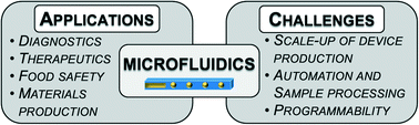 An outlook on microfluidics: the promise and the challenge - Lab on a ...