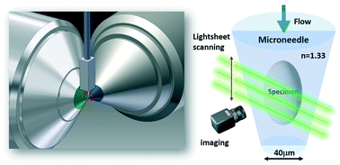 Development of a water refractive index-matched microneedle integrated ...