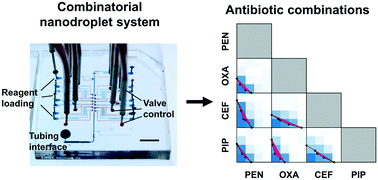 Combinatorial nanodroplet platform for screening antibiotic ...