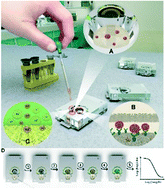 Immuno-biosensor on a chip: a self-powered microfluidic-based ...