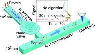 Accelerated protein digestion and separation with picoliter volume ...