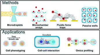 Recent advances in microfluidic devices for single-cell cultivation ...