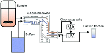 3D-Printed microfluidic device for protein purification in batch ...