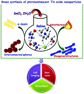 Nontoxic photoluminescent tin oxide nanoparticles for cell imaging ...