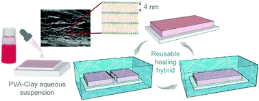 Self-healing polymer–clay hybrids by facile complexation of a ...