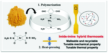 Malleable and recyclable imide–imine hybrid thermosets: influence of ...