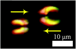 Electrically driven formation and dynamics of swallow-tail solitons in ...