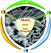 Advances in the designs and mechanisms of MoO3 nanostructures for gas ...