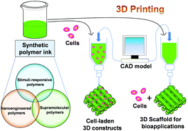 Synthetic polymer-derived single-network inks/bioinks for extrusion ...