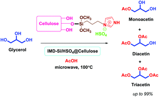 Selective esterification of glycerol over ionic liquid functionalized ...