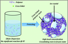 Materials prepared by Freezing-Induced Self-Assembly of Dispersed ...