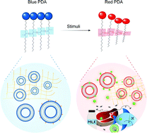 Polydiacetylene-based sensors for food applications - Materials ...