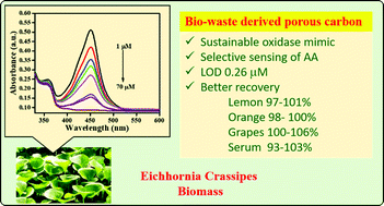 Hierarchically porous 2D carbon from bio-waste: a sustainable, rapid ...