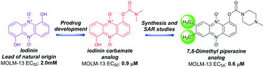 New prodrugs and analogs of the phenazine 5,10-dioxide natural products ...