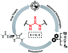 Recent advances in urea- and thiourea-containing compounds: focus on ...