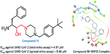 A novel compound active against SARS-CoV-2 targeting uridylate-specific ...