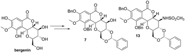 Synthesis and biological evaluation of bergenin derivatives as new ...