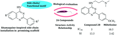 Identification of 2-arylquinazolines with alkyl-polyamine motifs as ...