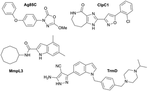 Potential therapeutic targets from Mycobacterium abscessus (Mab ...