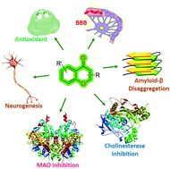 Recent advancements in chromone as a privileged scaffold towards the ...