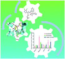 Synthesis of potent antifungal 3,4-dichloroisothiazole-based ...