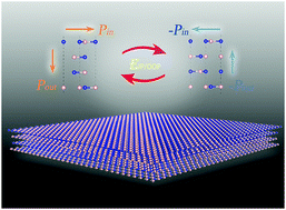 Intercorrelated ferroelectrics in 2D van der Waals materials ...
