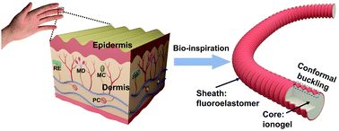 Intrinsically stretchable sheath-core ionic sensory fibers with well ...