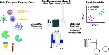 Metabolomics in infectious diseases and drug discovery - Molecular ...