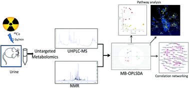 An integrative chemometric approach and correlative metabolite ...