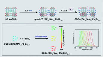 Highly luminescent and stable quasi-2D perovskite quantum dots by ...