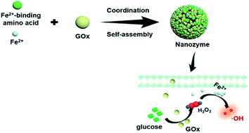 An amino acid-based supramolecular nanozyme by coordination self ...