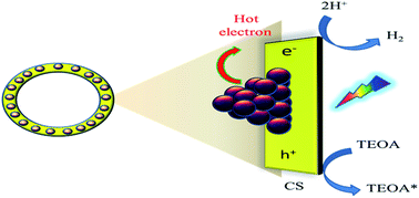 Prominence of Cu in a plasmonic Cu–Ag alloy decorated SiO2@S-doped C3N4 ...